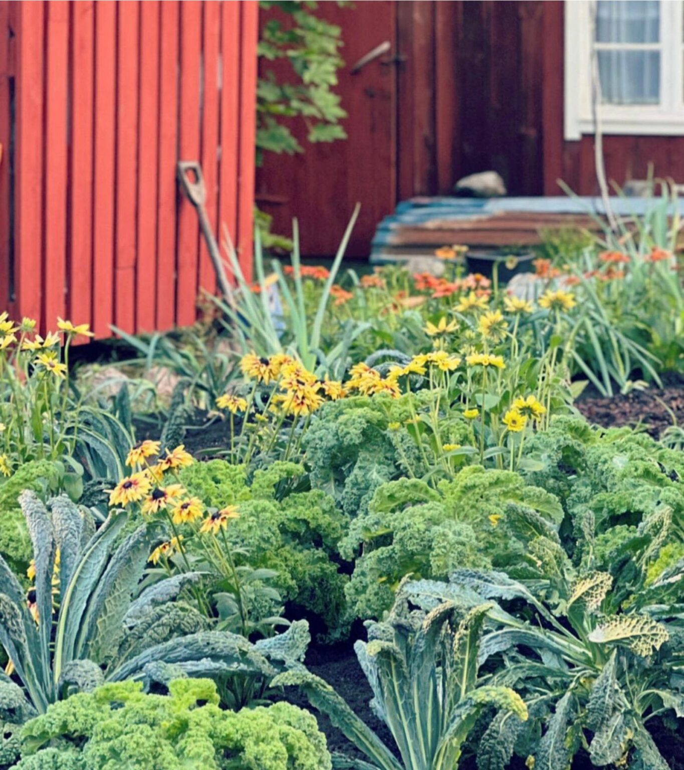 Inside Out Interiör & Trädgård | Garden designer | Talk To