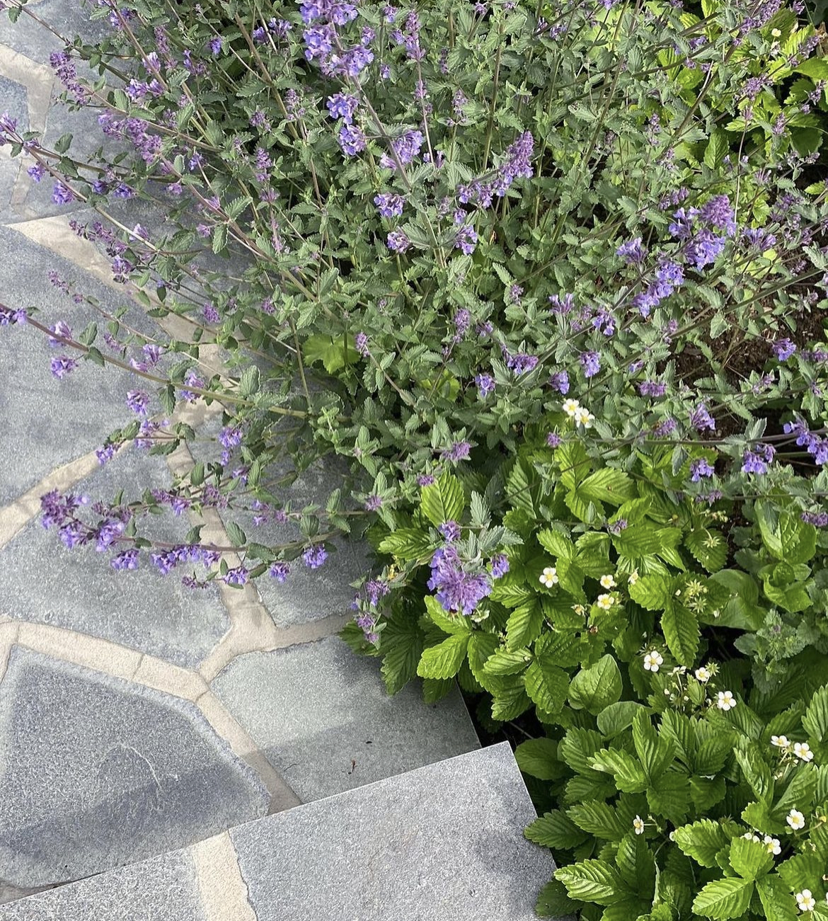 Journal | A conversation with our Garden advisors