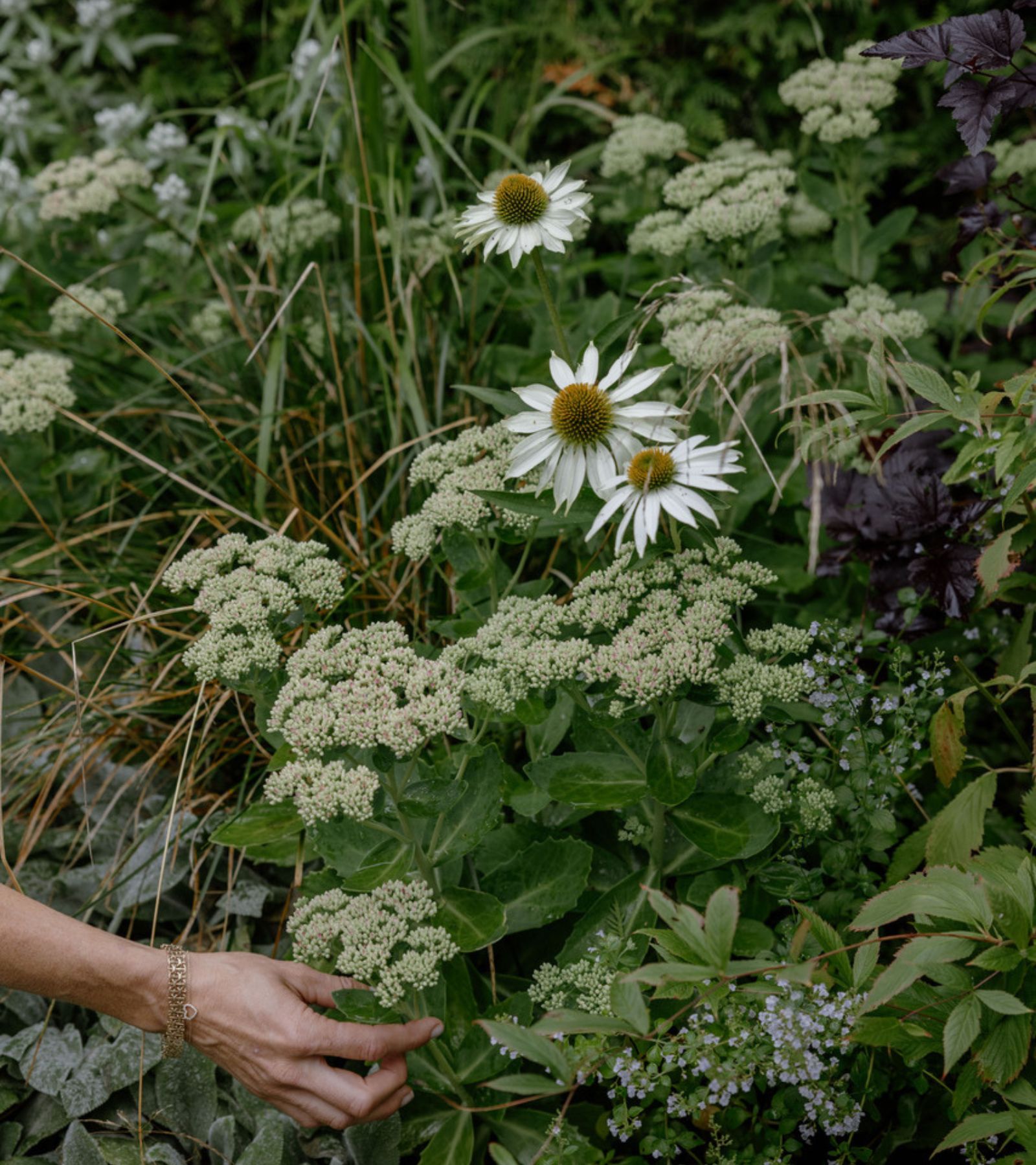 Journal | A conversation with our Garden advisors